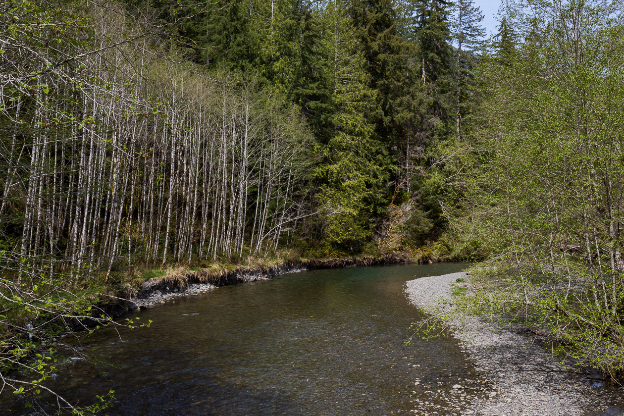 Lake Quinault Loop Road - Olympic Peninsula - Lake Quinault Loop ...