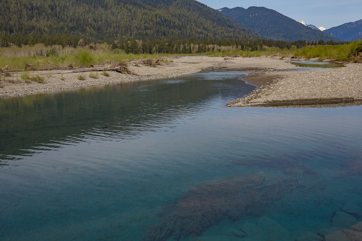 Lake Quinault Loop Road - Olympic Peninsula - Lake Quinault Loop ...